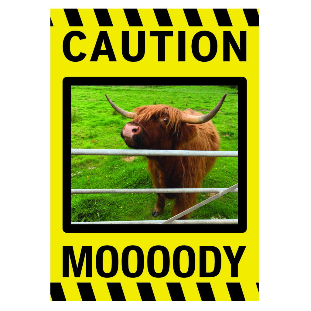 Moody Magnet - Scott's Highland Services Inc.